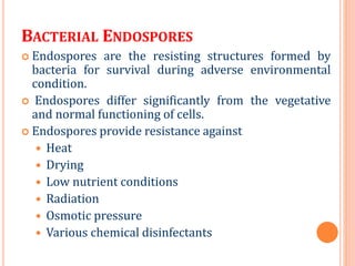 Endospores | PPT