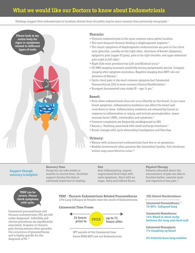 EndoStats Doctors2Know | PDF
