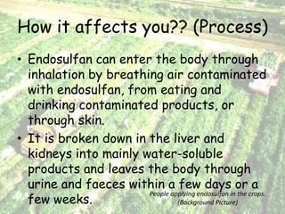 Endosulfan catastrophe | PPTX