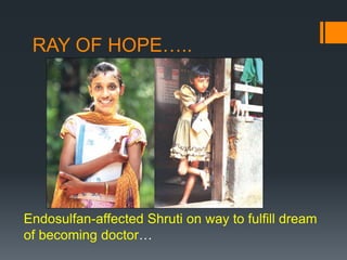 Endosulfan the kasargod story | PPTX