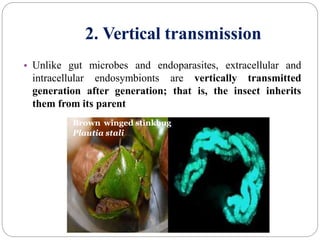 Endosymbionts of insects | PPTX