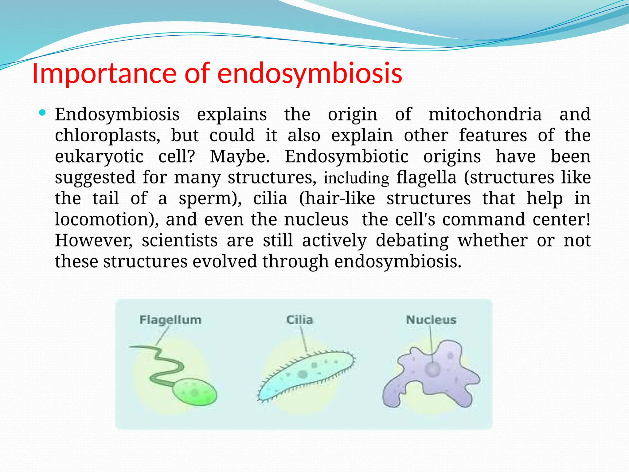 Endosymbiotic.pptx Theories of origin of chloroplast and mitochondria | PPTX