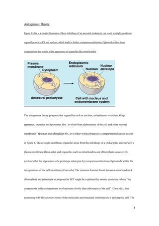 Endosymbiotic theory | DOCX | Biological Sciences | Science