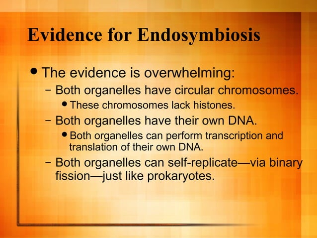 Endosymbiotic theory (1)