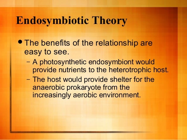 Endosymbiosis Examples