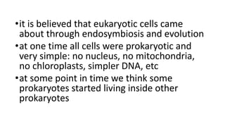 Endosymbiotic theory | PDF