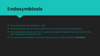 Endosymbiotic Theory (steps, function and proof) presentation.ppt. | PPT