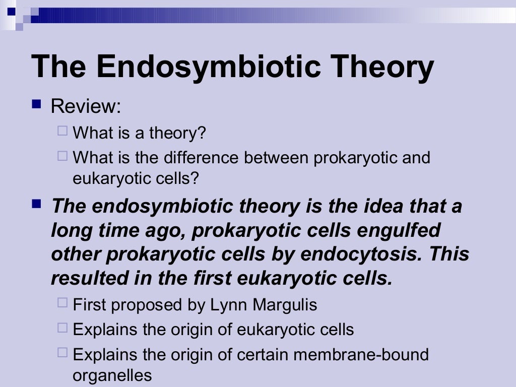 Endosymbiotic theory (2)