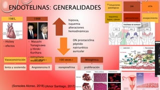 Endotelinas | PPTX