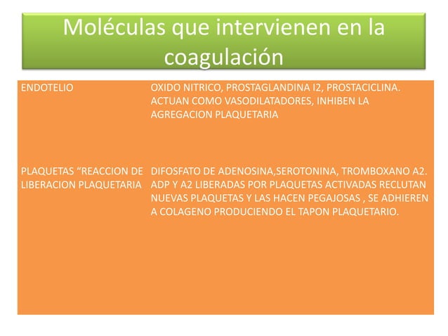 Endotelio | PPT