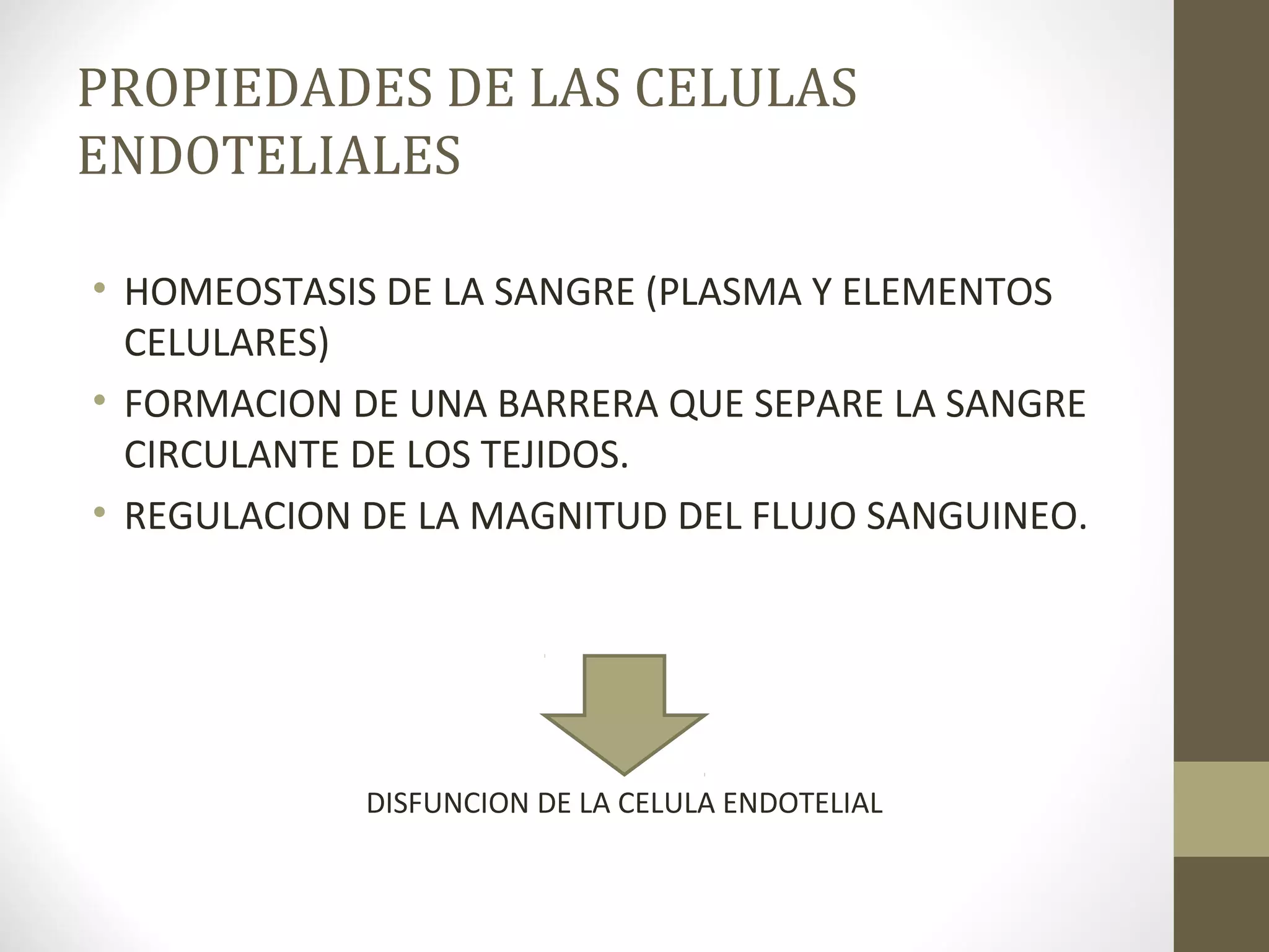 Endotelio | PPT | Blood Disorders | Diseases and Conditions
