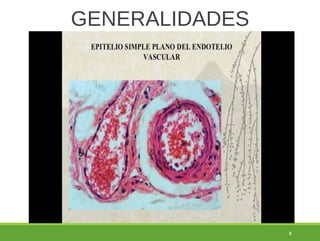 Endotelio | PPT