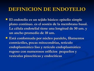 Endotelio | PPT