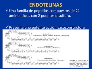 Endotelio cedano. | PPTX