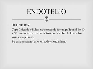 Endotelio fisiopatologia ok | PPT