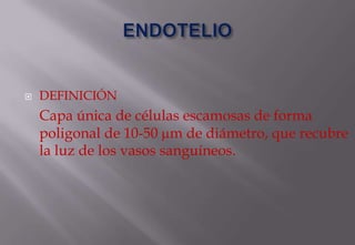 Endotelio ok | PPTX