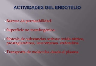 Endotelio ok | PPTX