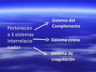 Endotelio Vascular | PPT
