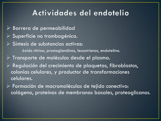 Endotelio vascular | PPT