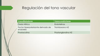 Endotelio vascular | PPTX