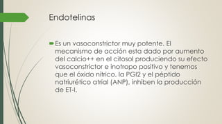 Endotelio vascular | PPTX