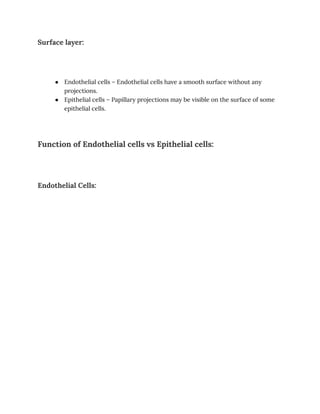 Endothelial Cells vs Epithelial Cells_ What Sets Them Apart.pdf