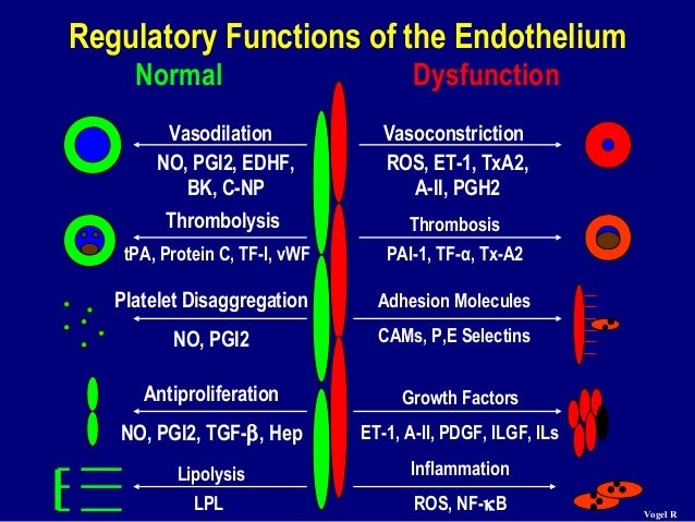 Endothelial Dysfunction By Dr Hp