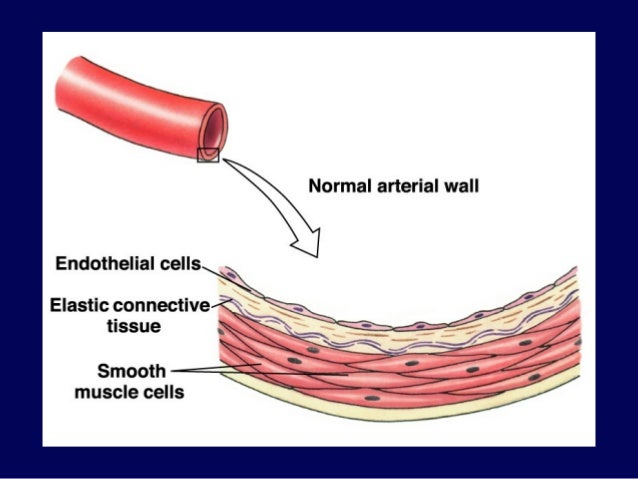 Endothelial dysfunction by dr hp