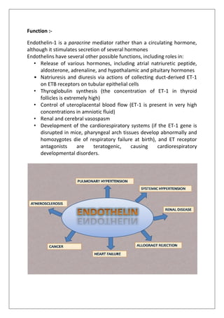 Endothelin | PDF