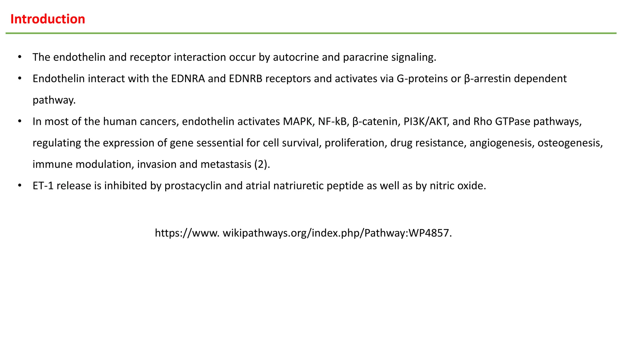 Endothelin.pptx