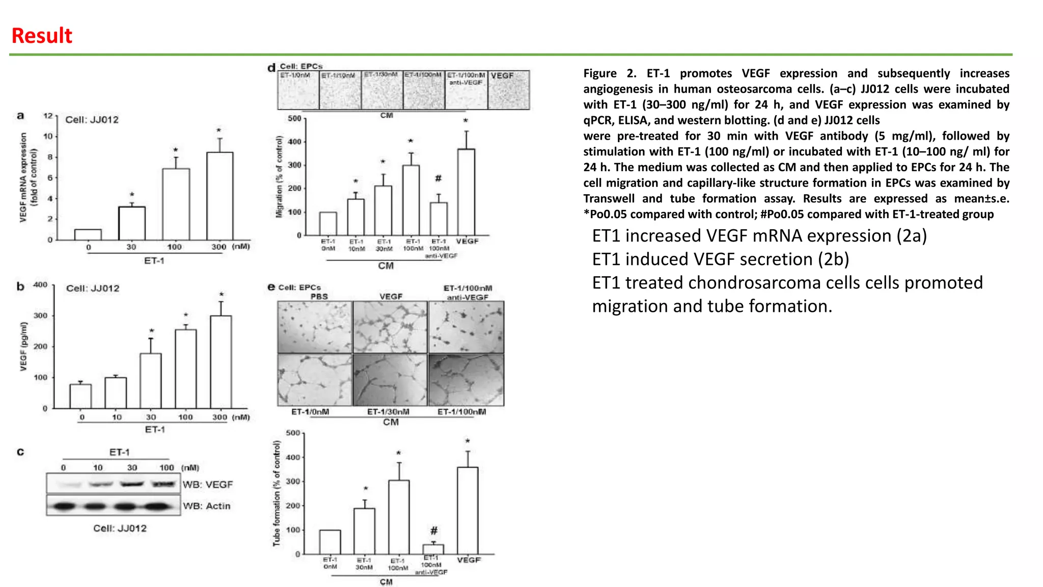 Endothelin.pptx