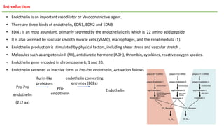 Endothelin.pptx