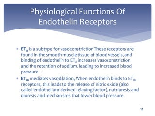 Endothelin ppt | PPTX