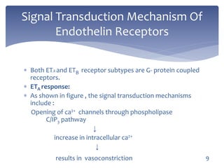 Endothelin ppt | PPTX