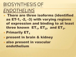 Endothelins | PPT