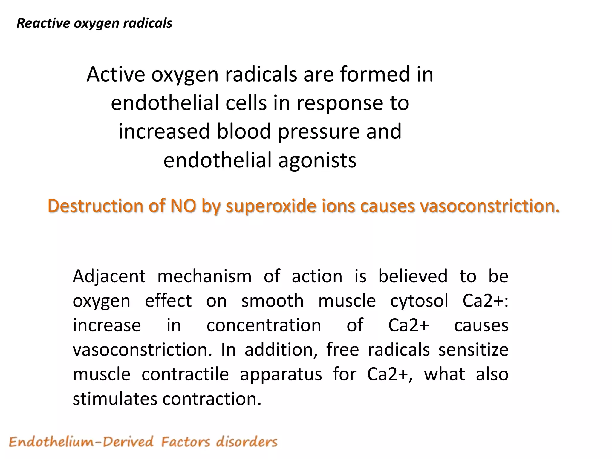 Endothelium derived factors | PPTX