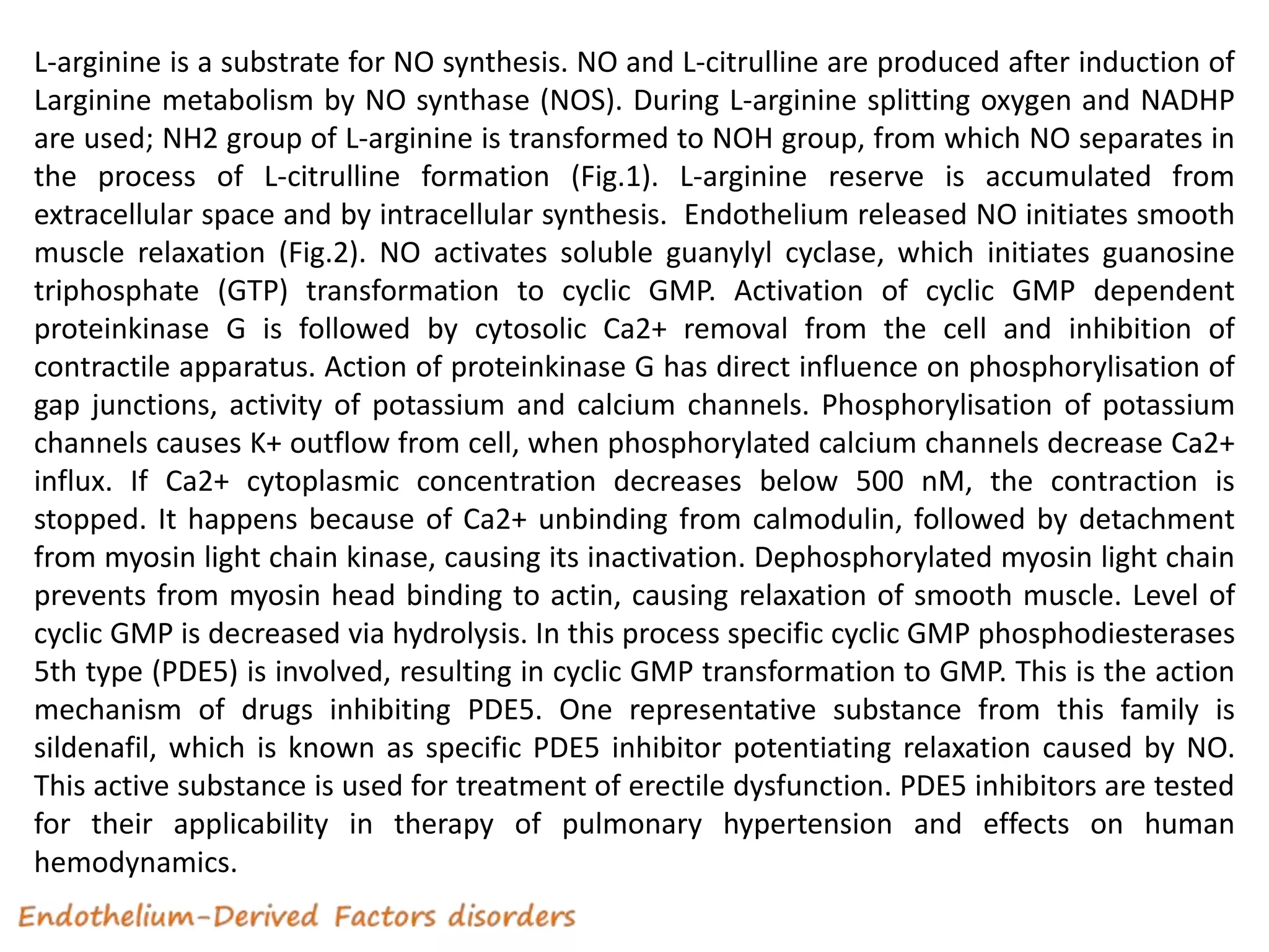 Endothelium derived factors | PPTX