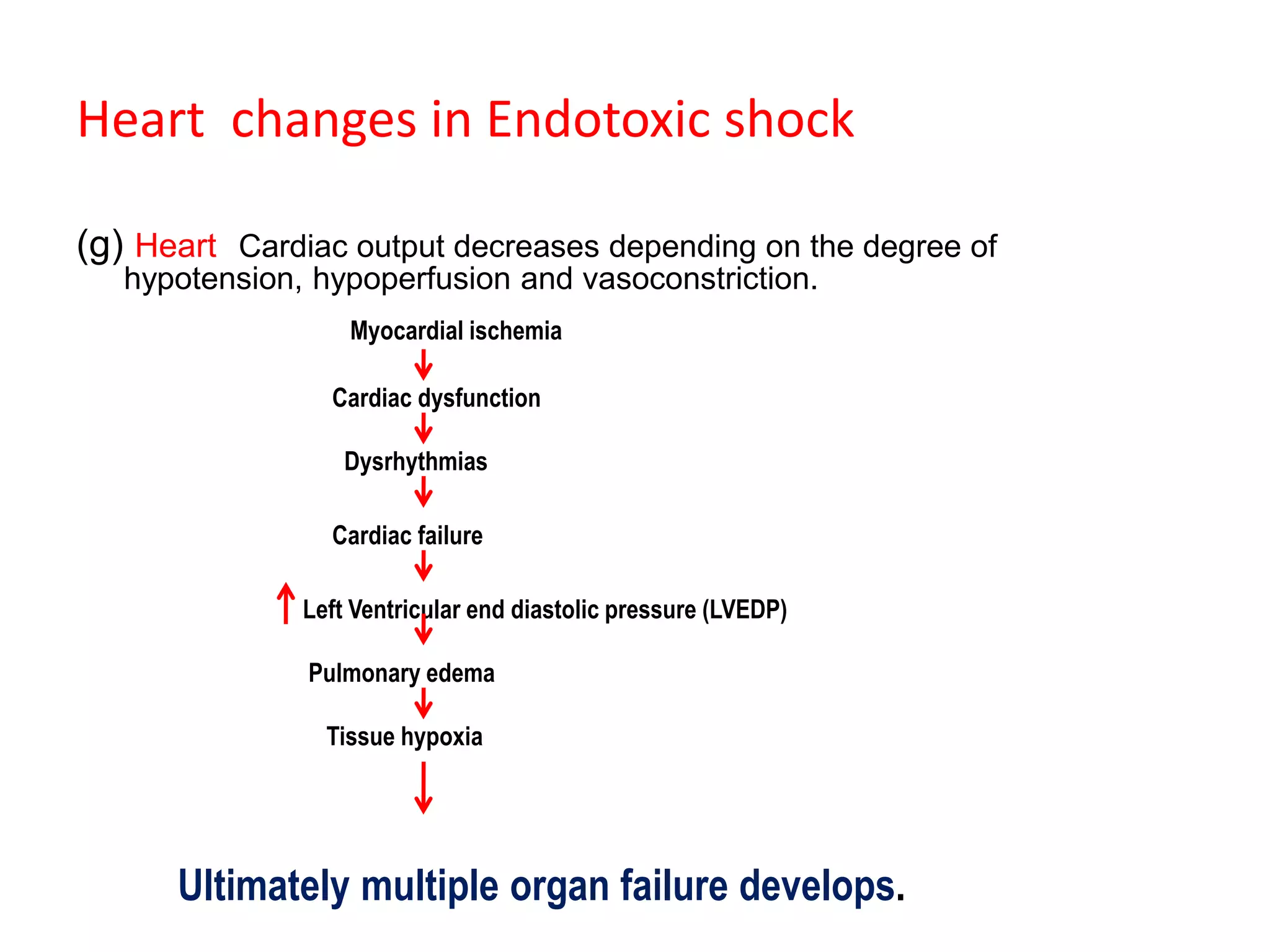 Endotoxic Shock in Obstetrics PPT | PPTX