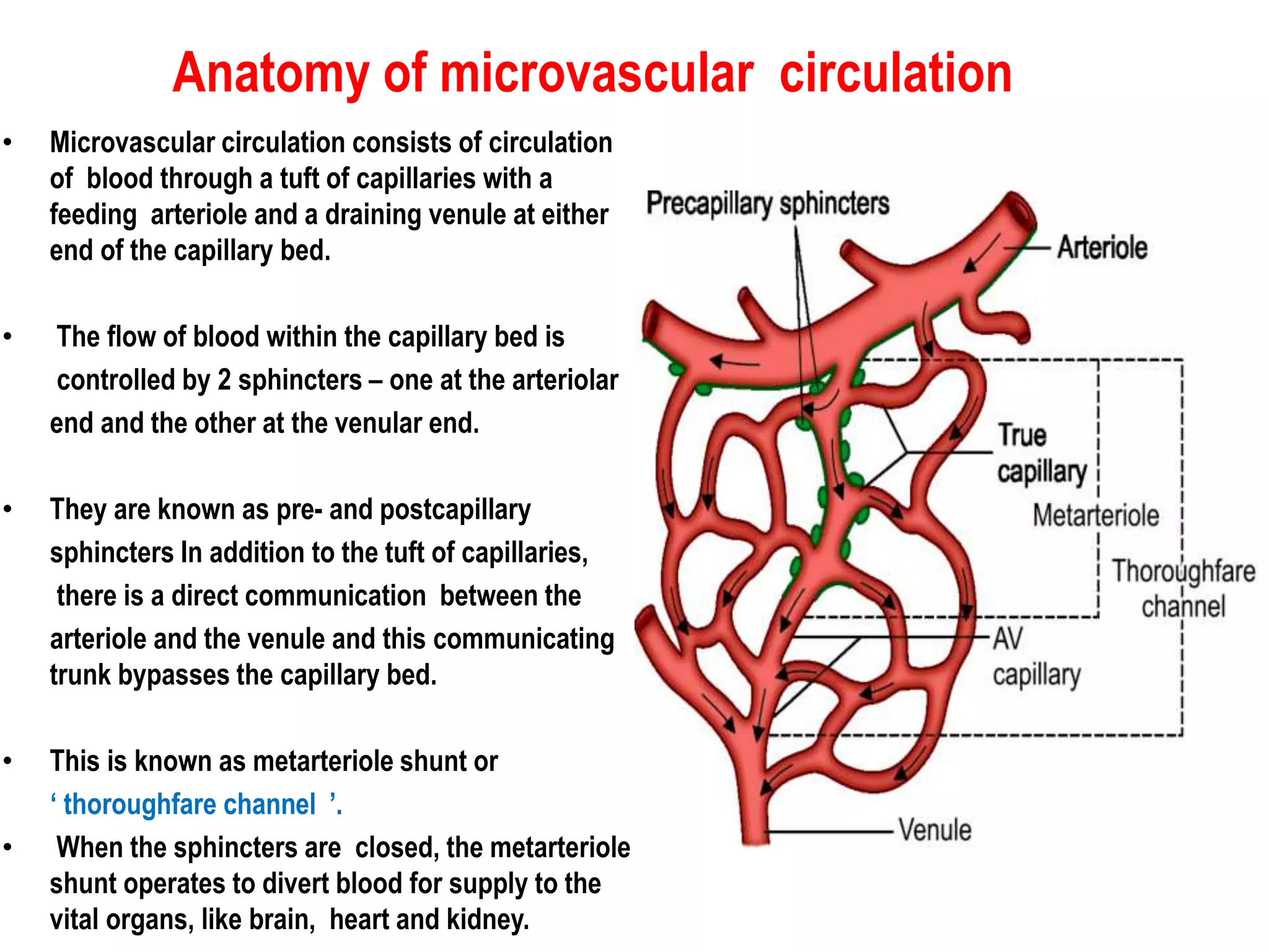Endotoxic Shock in Obstetrics PPT | PPTX