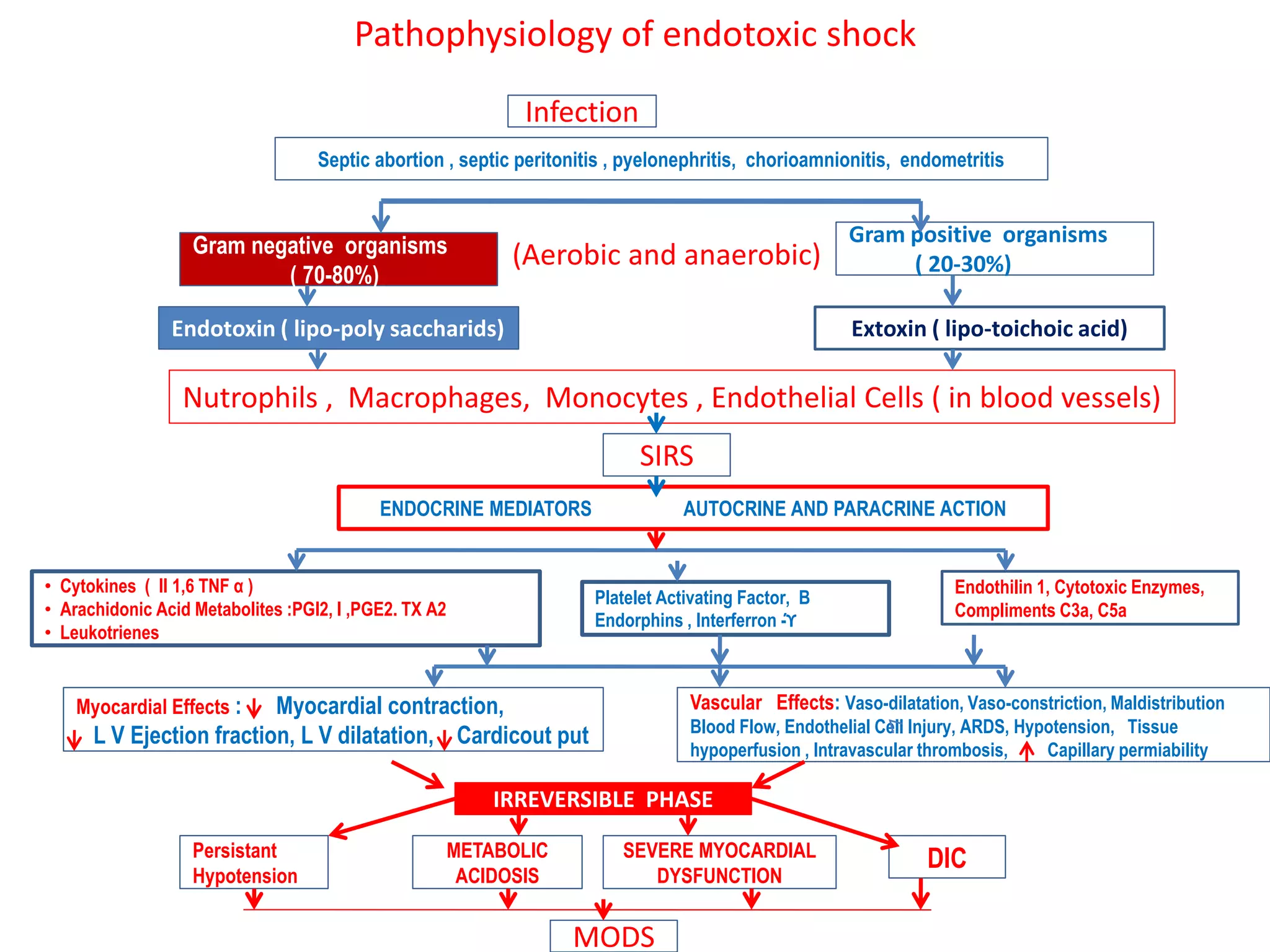 Endotoxic Shock in Obstetrics PPT | PPTX