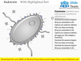 Endotoxin medical images for power point | PDF