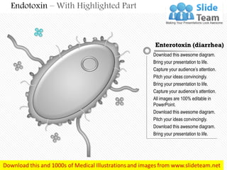 Endotoxin medical images for power point | PPT