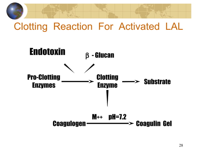 Bacterial Endotoxin Test | PPT | Chemistry | Science