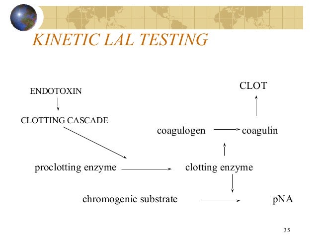 Bacterial Endotoxin Test
