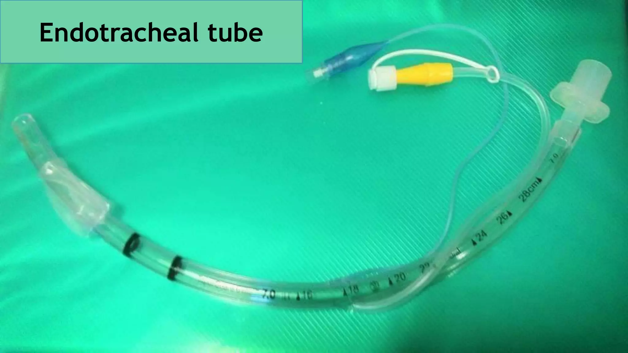 Endotracheal intubation | PDF