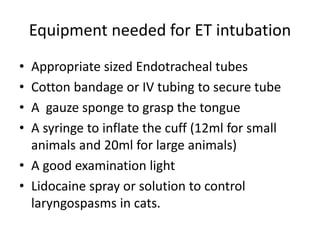 Endotracheal intubation in pets | PPTX