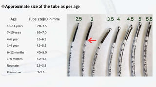 Endotracheal Tube Size