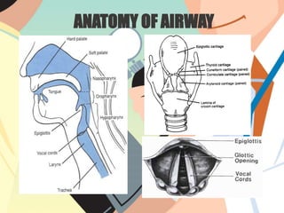 Endotracheal tube intubation | PPTX | Ear, Nose and Throat Conditions ...
