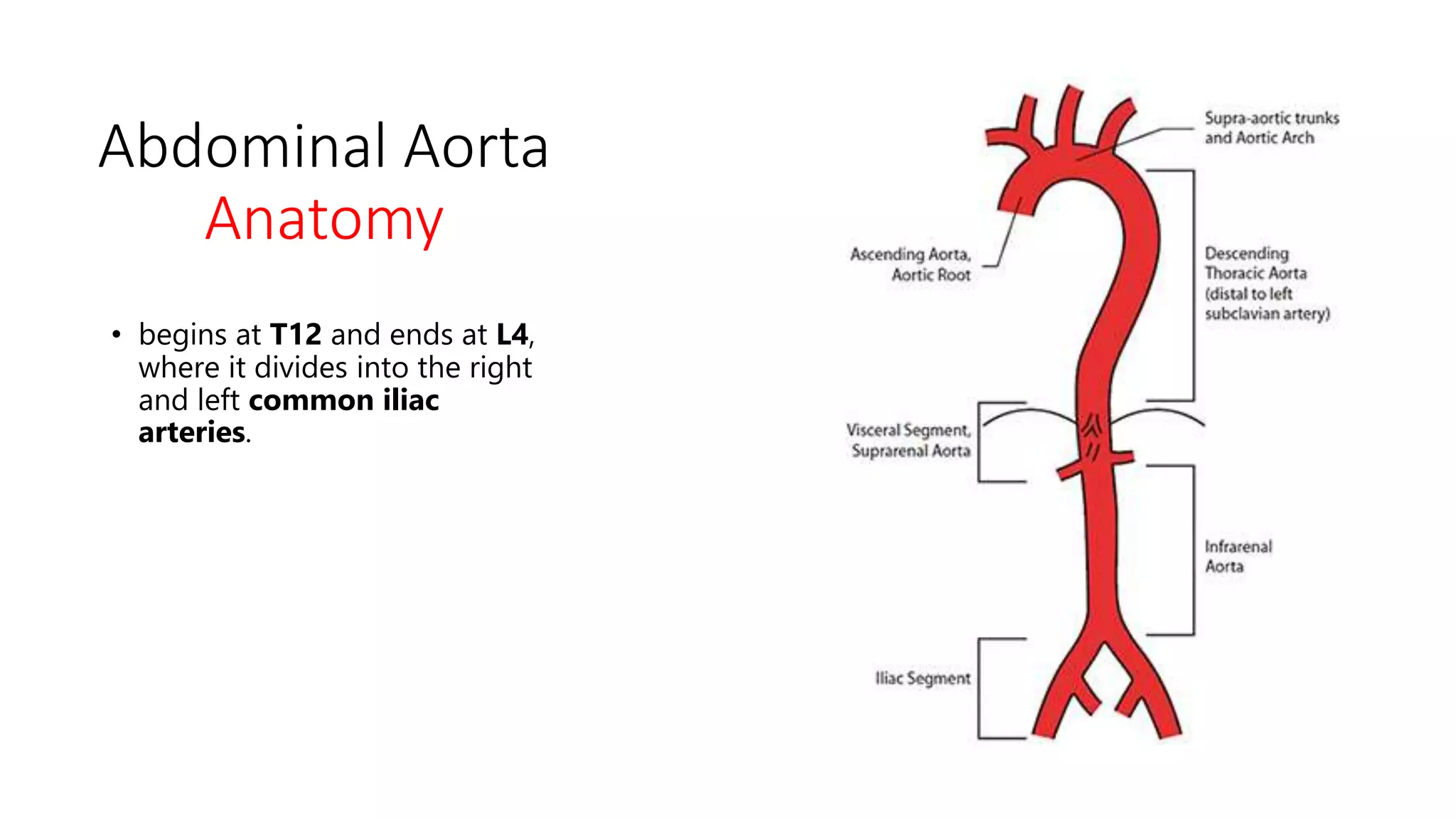 Endovascular Surgery of Abdominal Aorta | PPSX