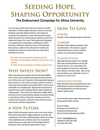 Endowment Case Statement | PDF | Student Financial Aid | Financial ...